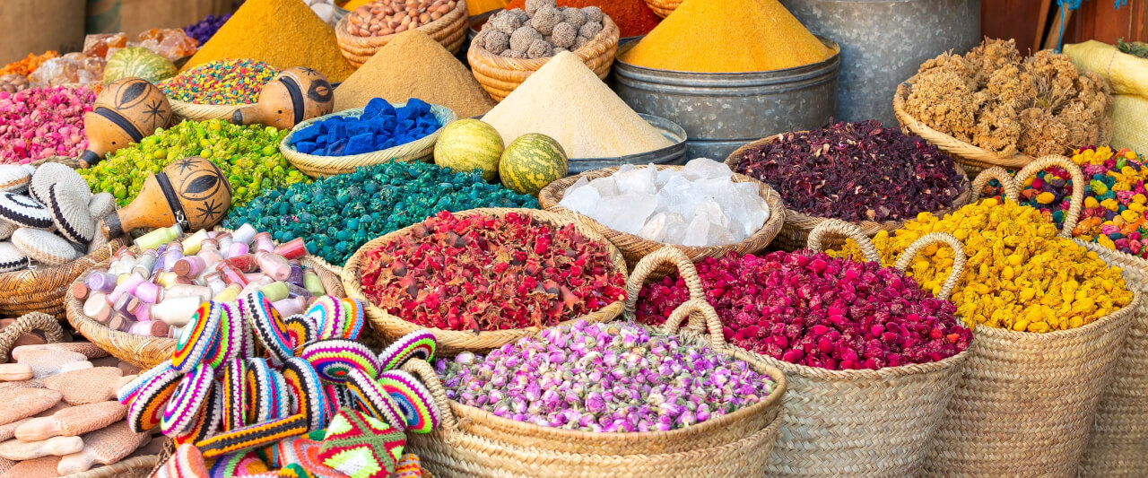 Gebeco - Reisen, die begeistern | Erlebnisreisen, Studienreisen & Aktivreisen